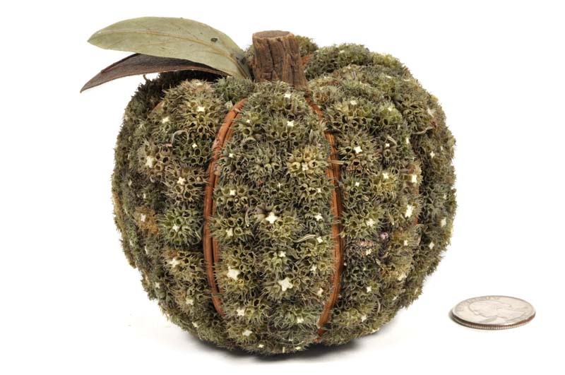 Apple Green Cone 3.5"